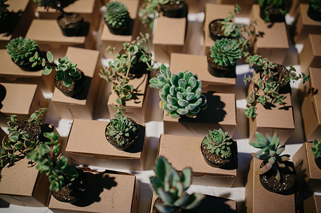 The Capri | Marfa, Texas, United States | Venue Report