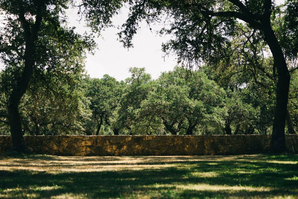 The Addison Grove | Austin, Texas, United States | Venue Report