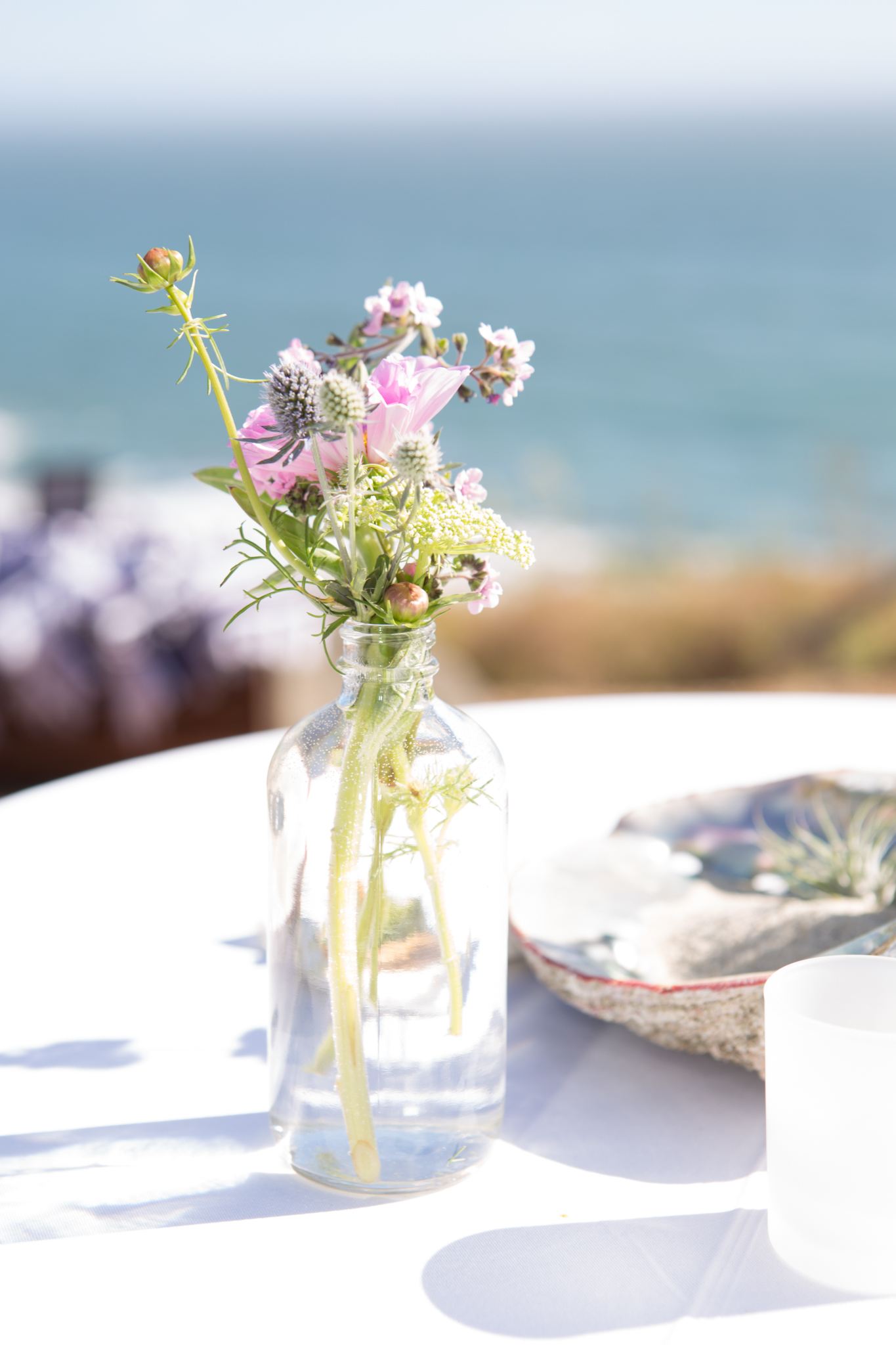 Slide Ranch | Muir Beach, California, United States | Venue Report