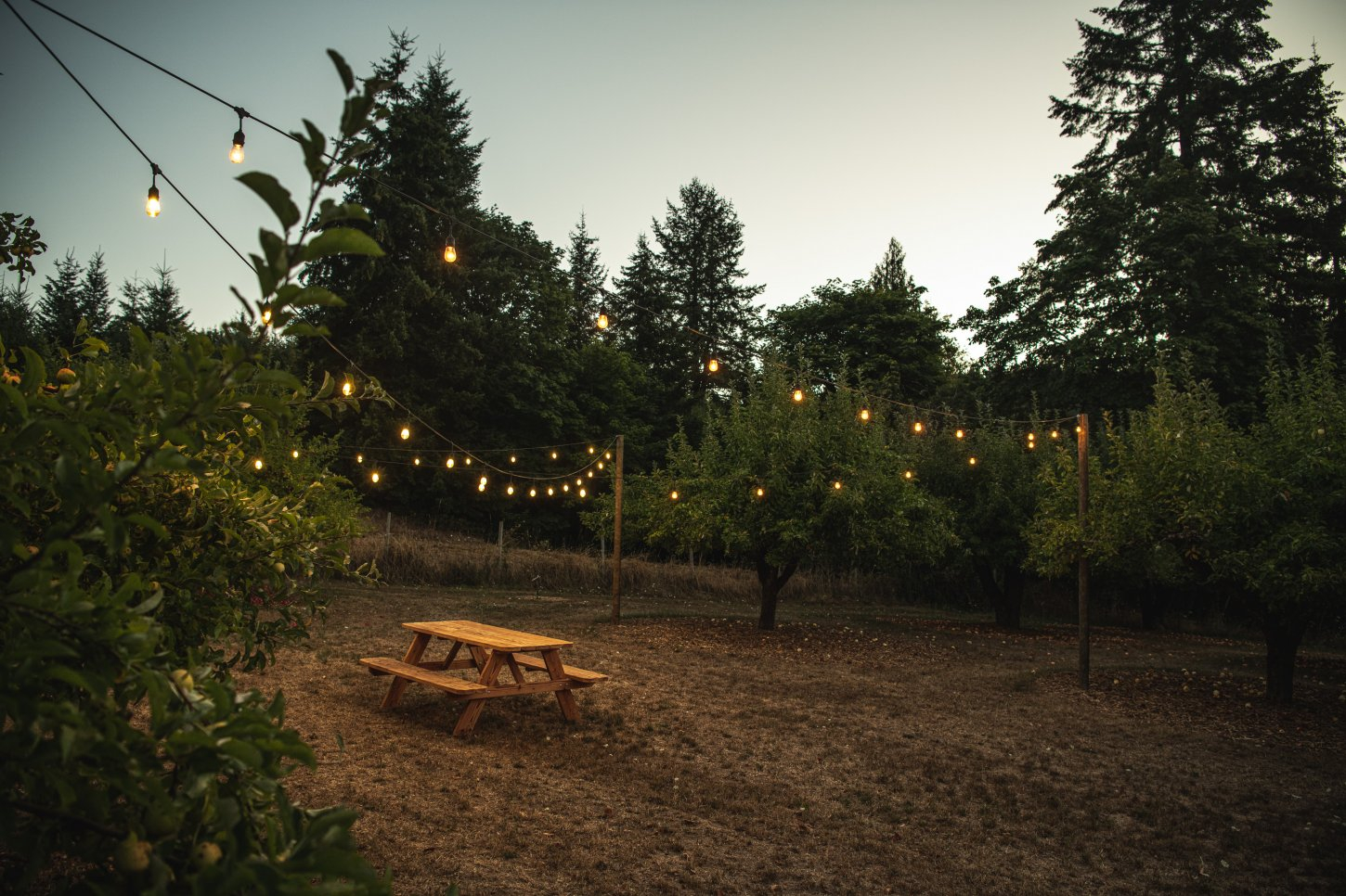Highland Fields | Venue Report