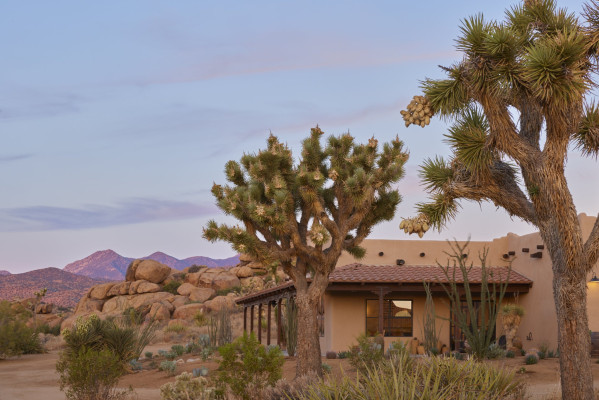 The Bust'n B Ranch | Pioneertown, California, United States - Venue Report