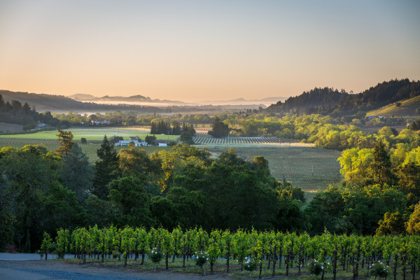 Sbragia Winery | Geyserville, California, United States | Venue Report