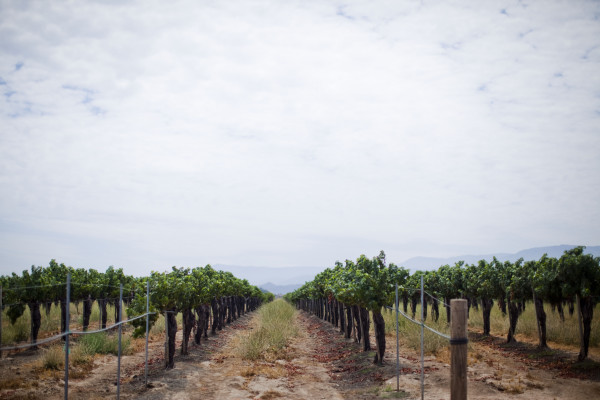 Ponte Winery & Vineyard Inn | Temecula, California, United States ...