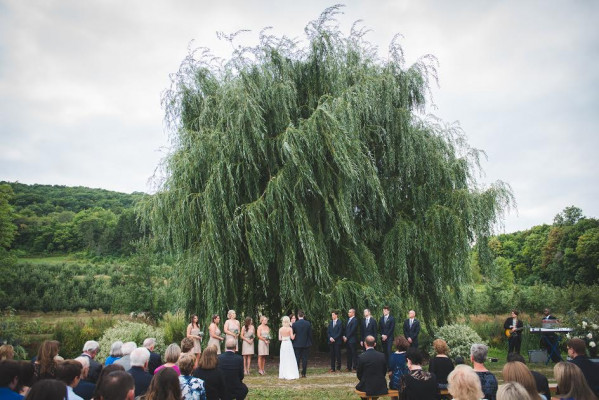 Nostrano Vineyards | Milton, New York, United States - Venue Report