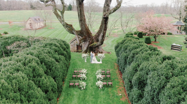 Glenstone Gardens | Venue Report