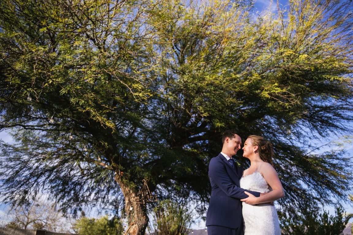 The Urban Grove | Desert Treasures Estates, Tucson, Arizona, United ...