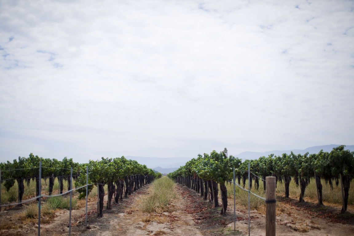 Ponte Winery & Vineyard Inn | Temecula, California, United States ...