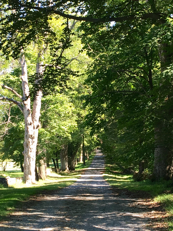 Wild Goose Farm | Shepherdstown, West Virginia, United States - Venue ...