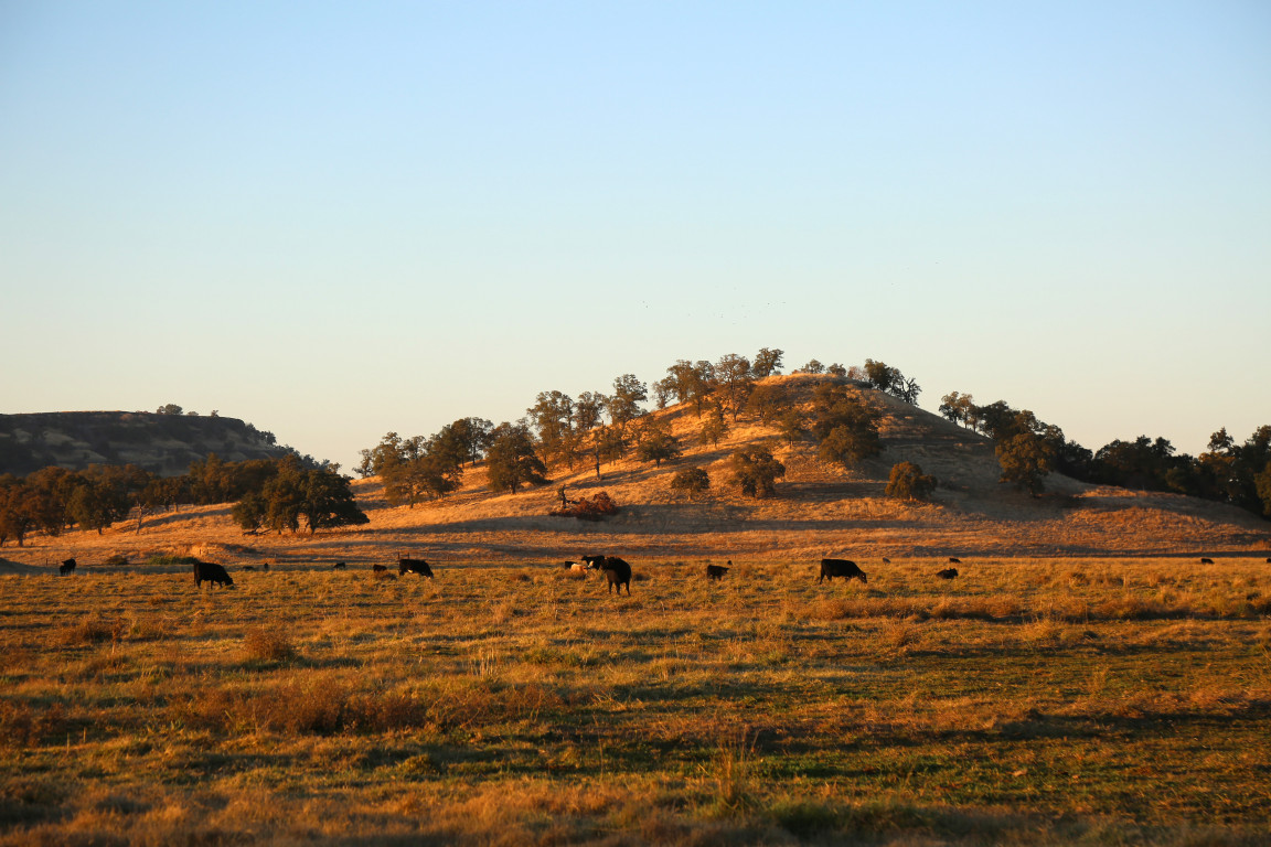 PT Ranch | Ione, California, United States - Venue Report