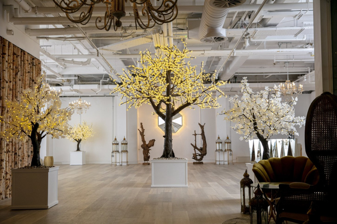 The Bluebird Chelsea | England, United Kingdom - Venue Report