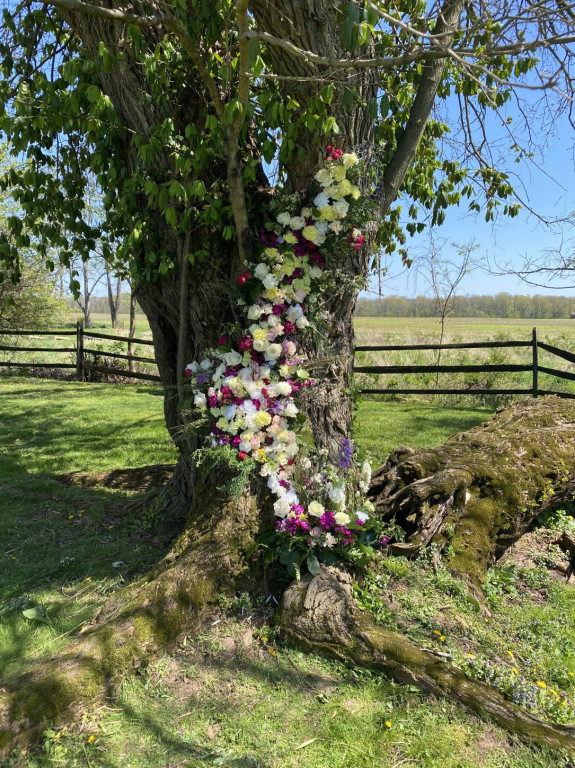 Updike Farmstead | Princeton, New Jersey, United States - Venue Report
