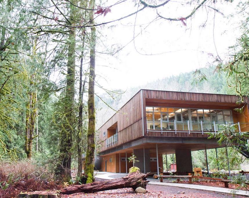 19 Spots To Do Summer Camp Like A Grown Up