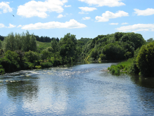 Ballyvolane House | Cork, Ireland - Venue Report