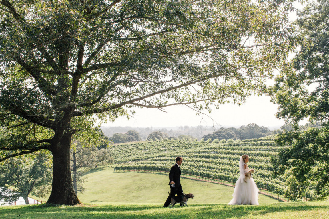 Montaluce Winery | Dahlonega, Georgia, United States - Venue Report