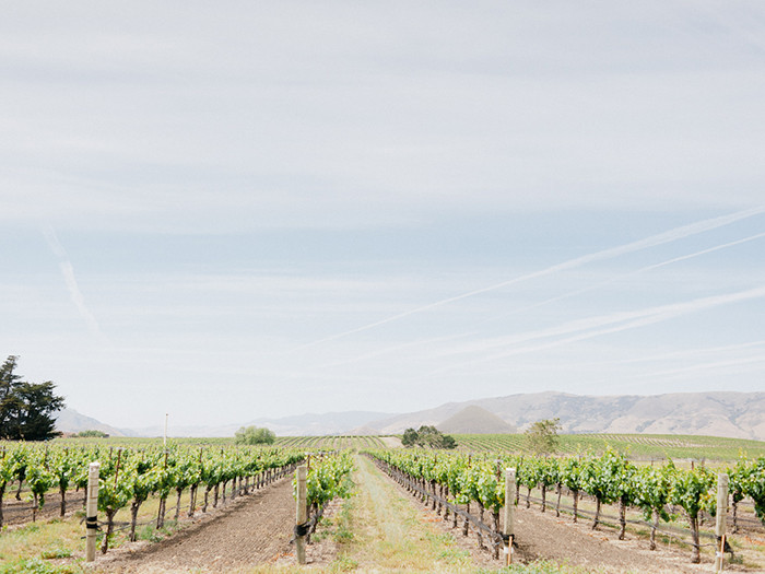 Biddle Ranch Vineyard | San Luis Obispo, California - Venue Report