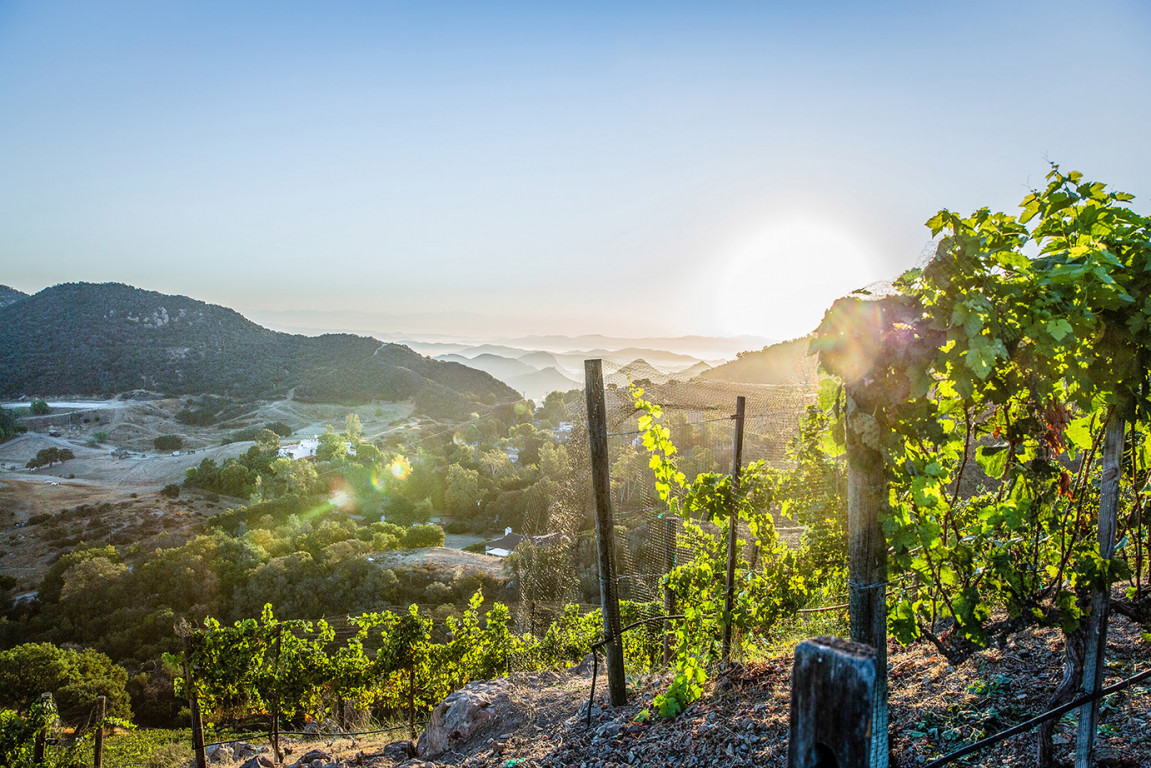 Cielo Farms | Malibu, California, United States - Venue Report