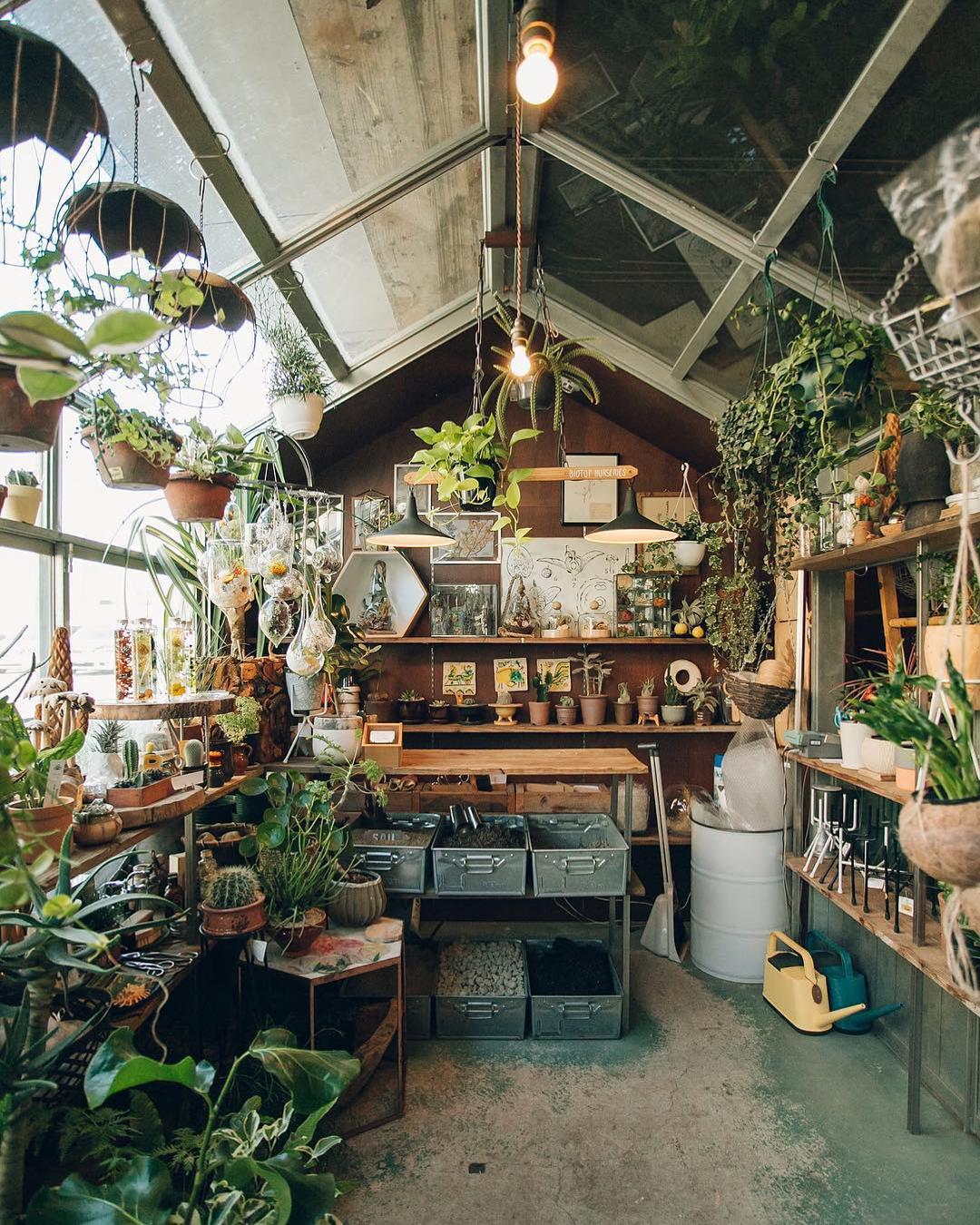 30 of the Cutest Plant Shops Around the World