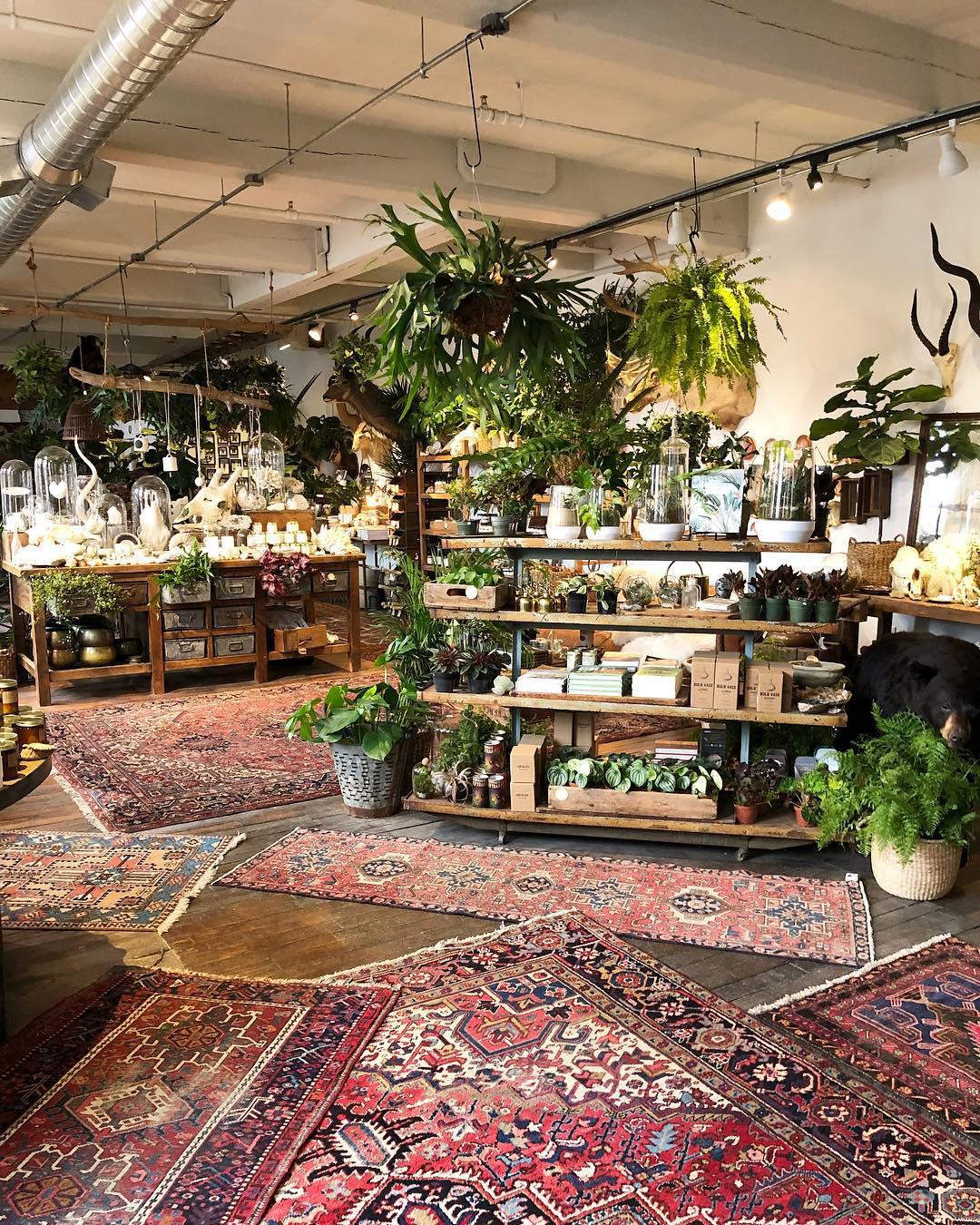 30 of the Cutest Plant Shops Around the World