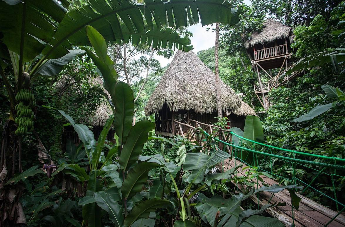 28 Most Amazing Treehouse Designs in the World