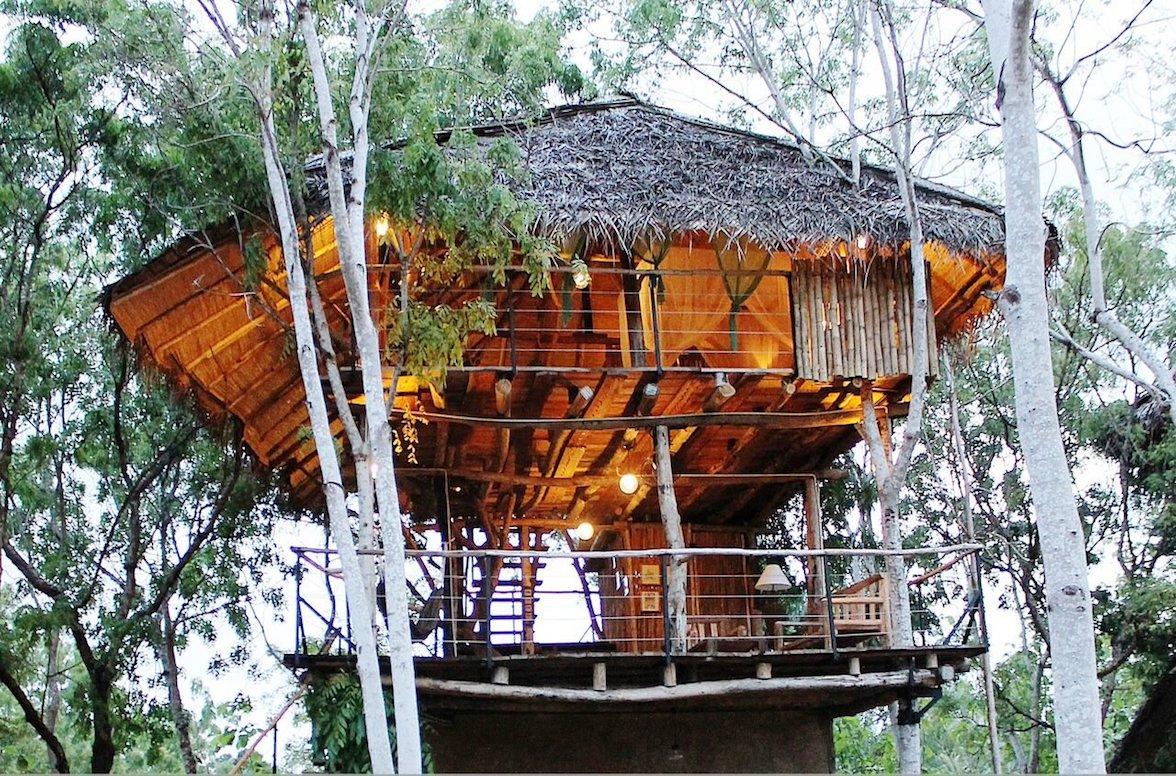 28 Most Amazing Treehouse Designs in the World