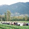 North Arm Farm | Pemberton, British Columbia, Canada - Venue Report